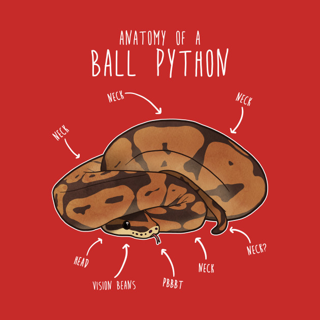 Anatomy Of A Ball Python - Snake - T-Shirt