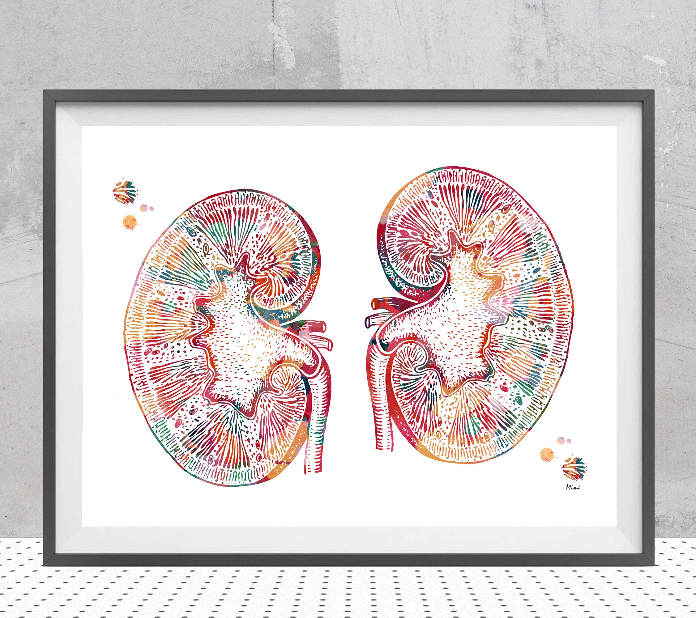 The Kidneys Anatomy Watercolor Print Human Kidneys Poster Urology Art ...