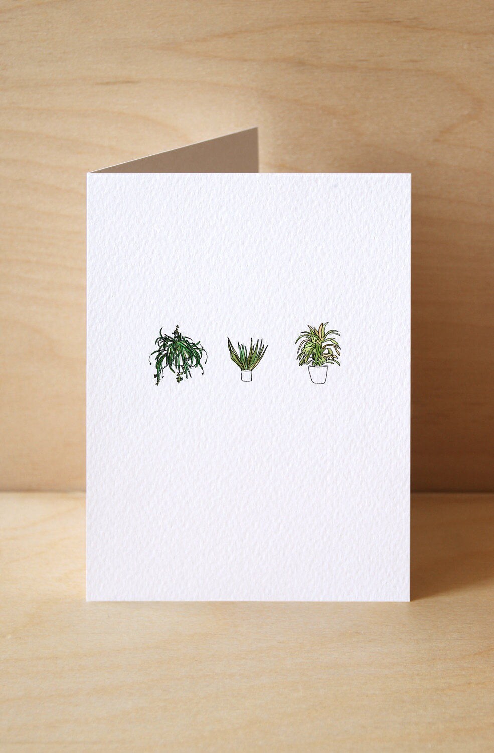3# House Plants Card Designed & Sold By Olimpia Shona Teal