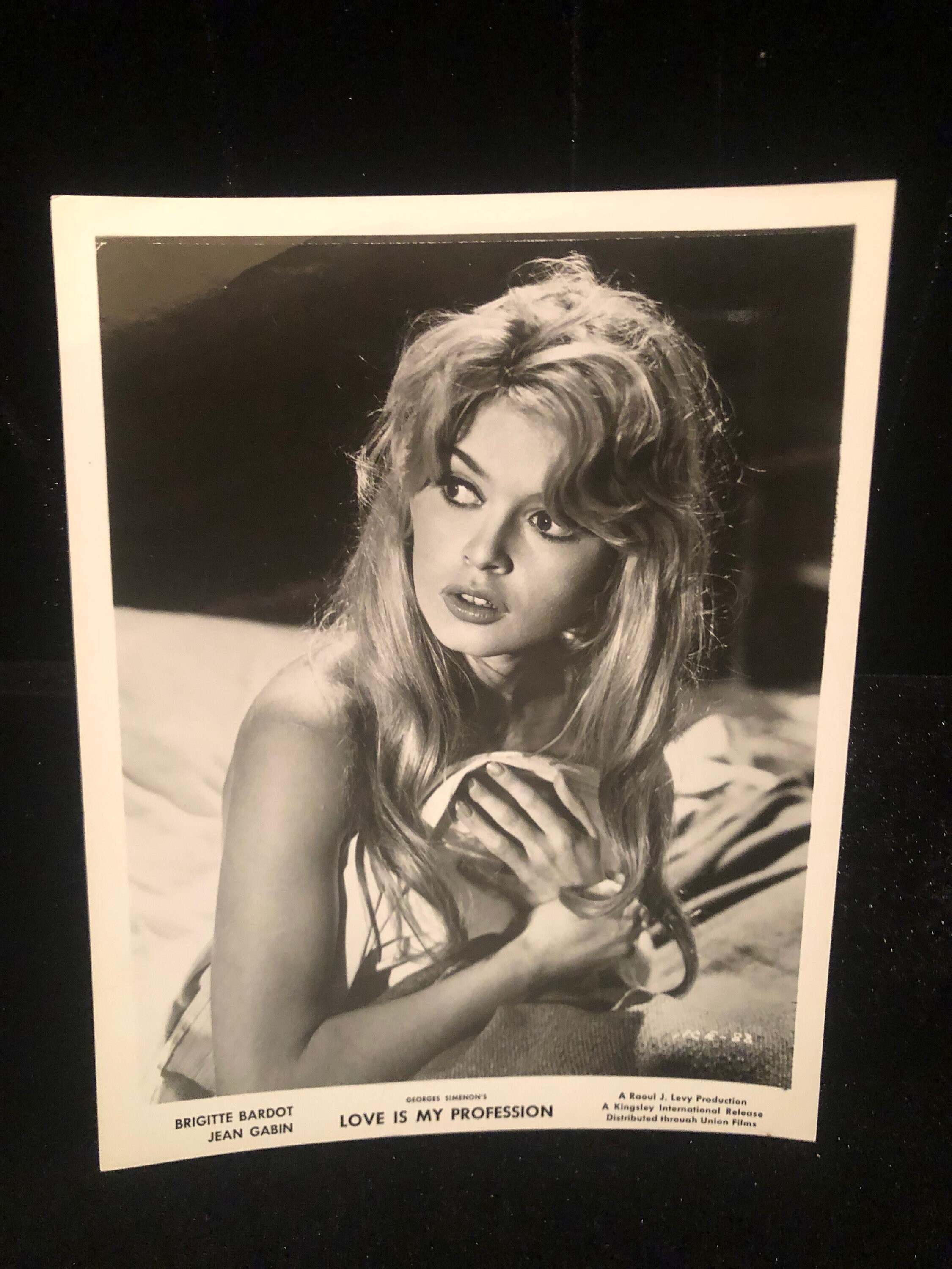Original 1959 Brigitte Bardot Love Is My Profession Press Movie 8x10 Black And White Photo ...