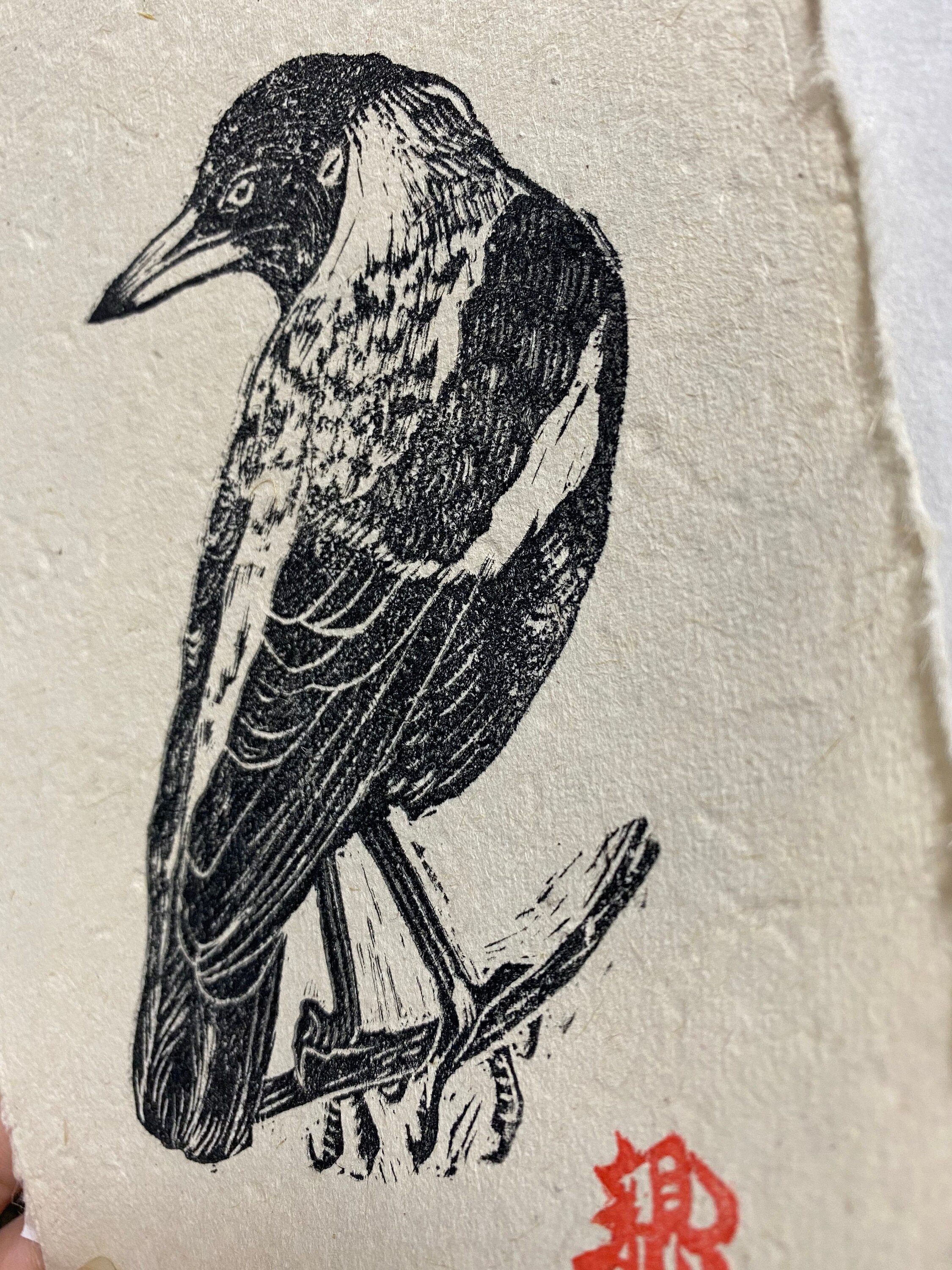 Magpie Linocut Print, Australian Bird Art, Animals Birds Of Australia ...