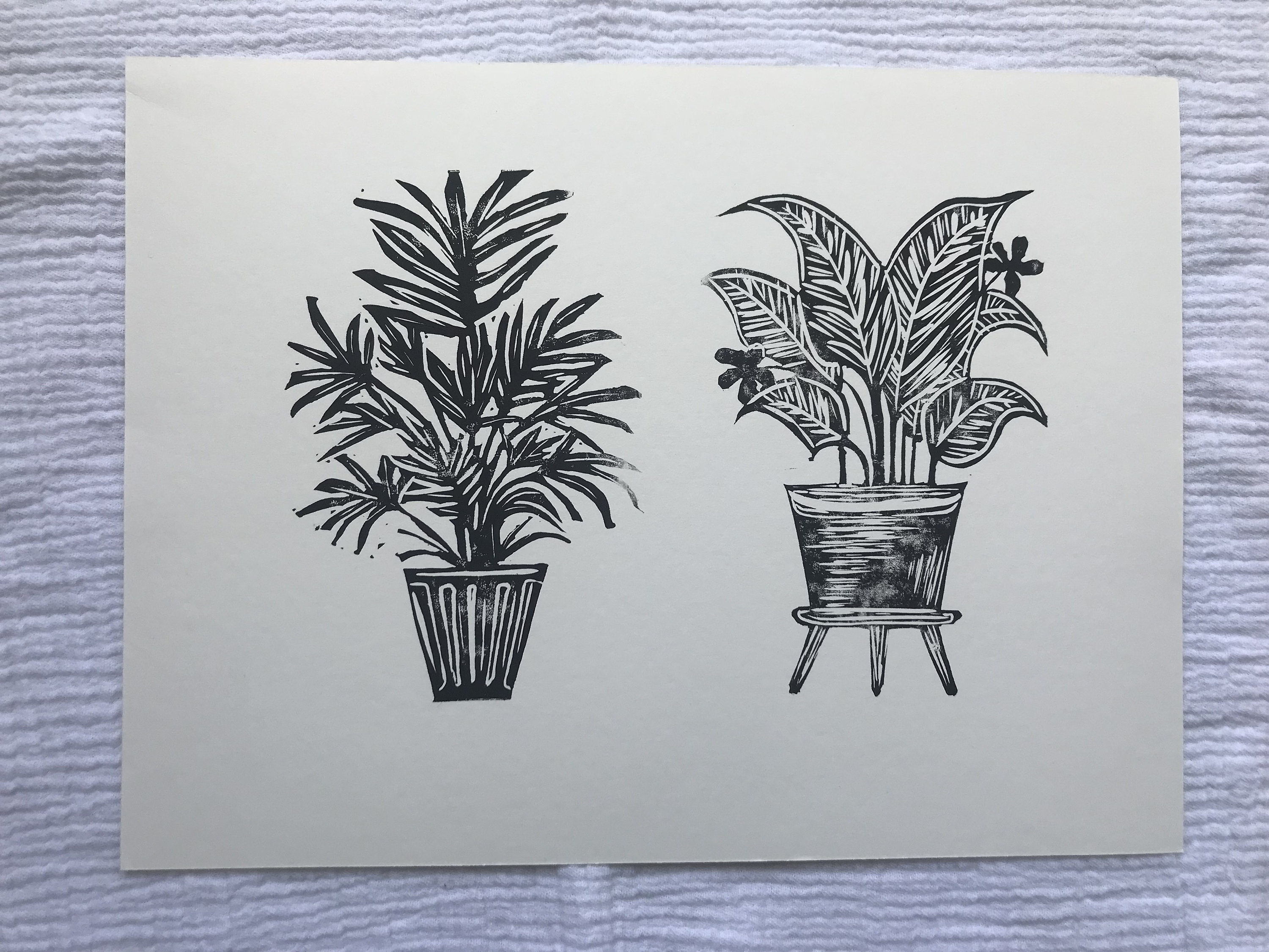Handmade Linocut Prints | Palm Tree & Chinese Evergreen | Print ...