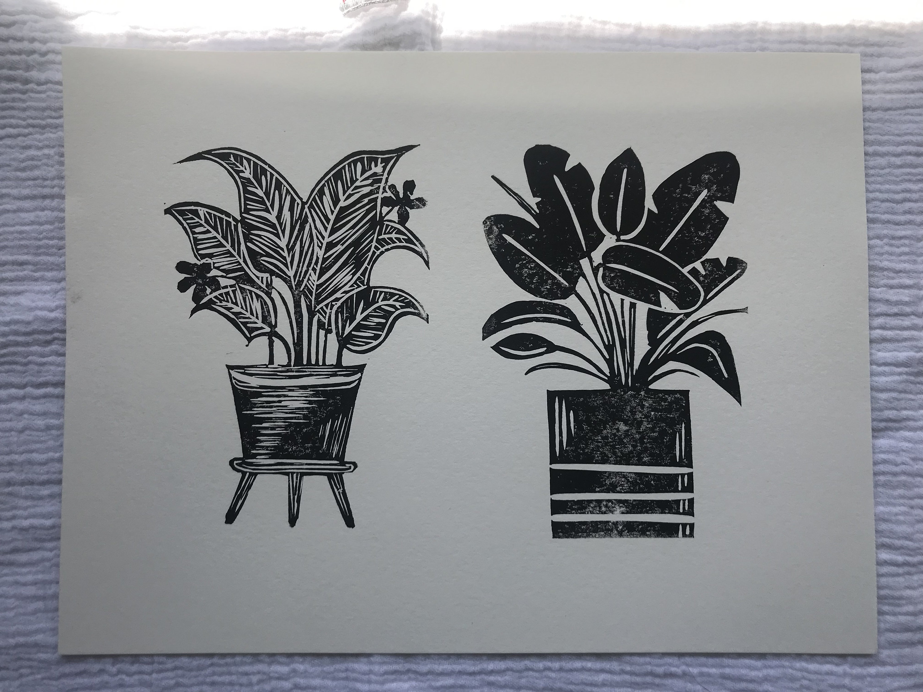 Handmade Linocut Prints | Chinese Evergreen & Bird Of Paradise | Print ...