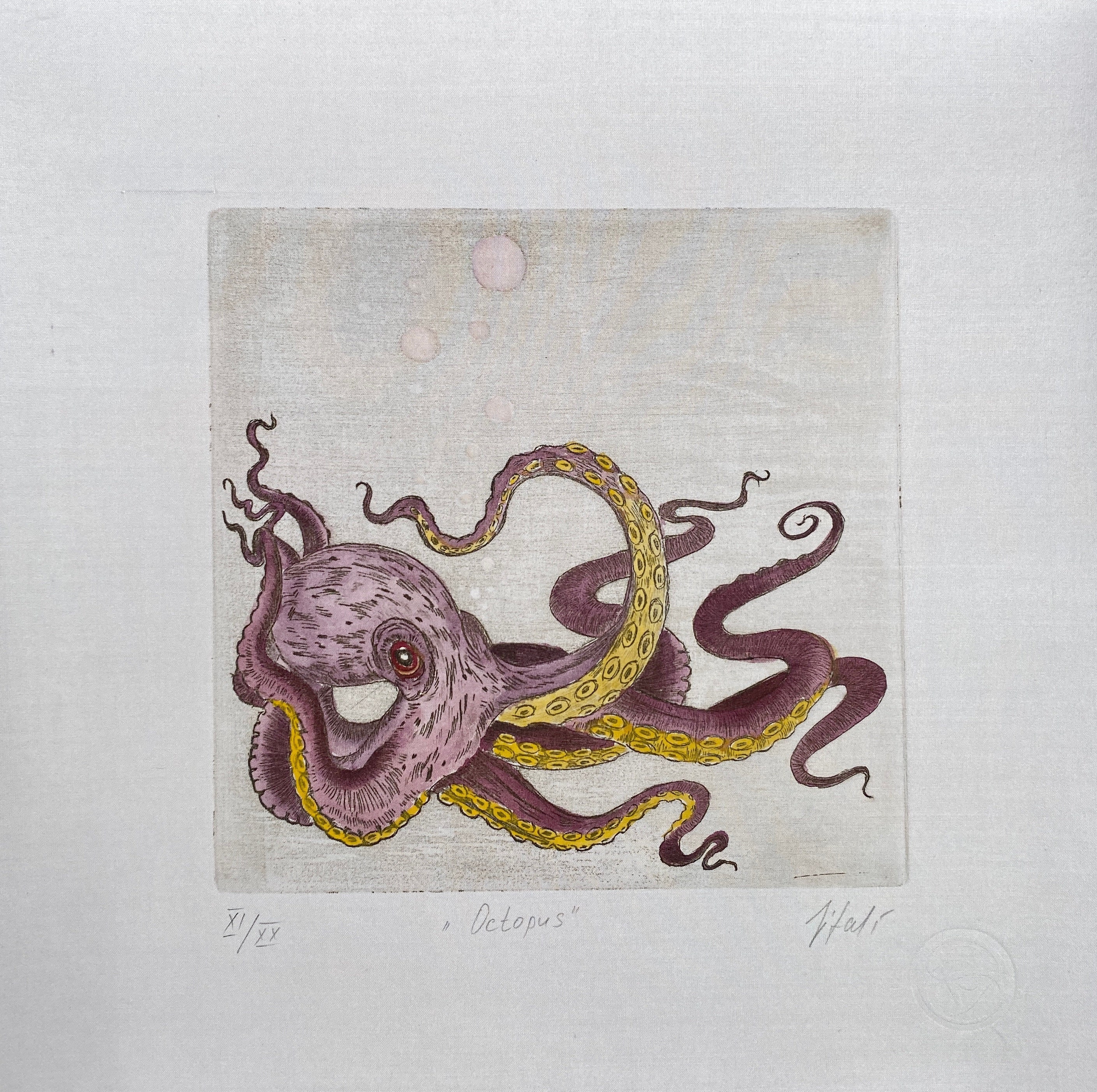 Original Engraving "Octopus". Octopods. Octopus. Octopus. Kraken ...